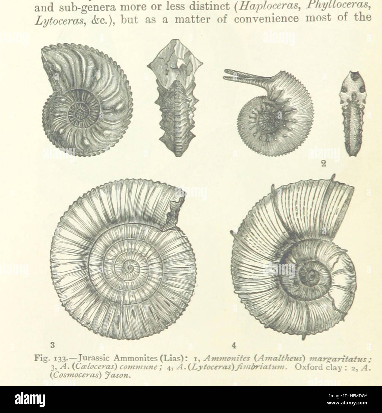 A geology textbook providing an intermediate level of knowledge on the ...