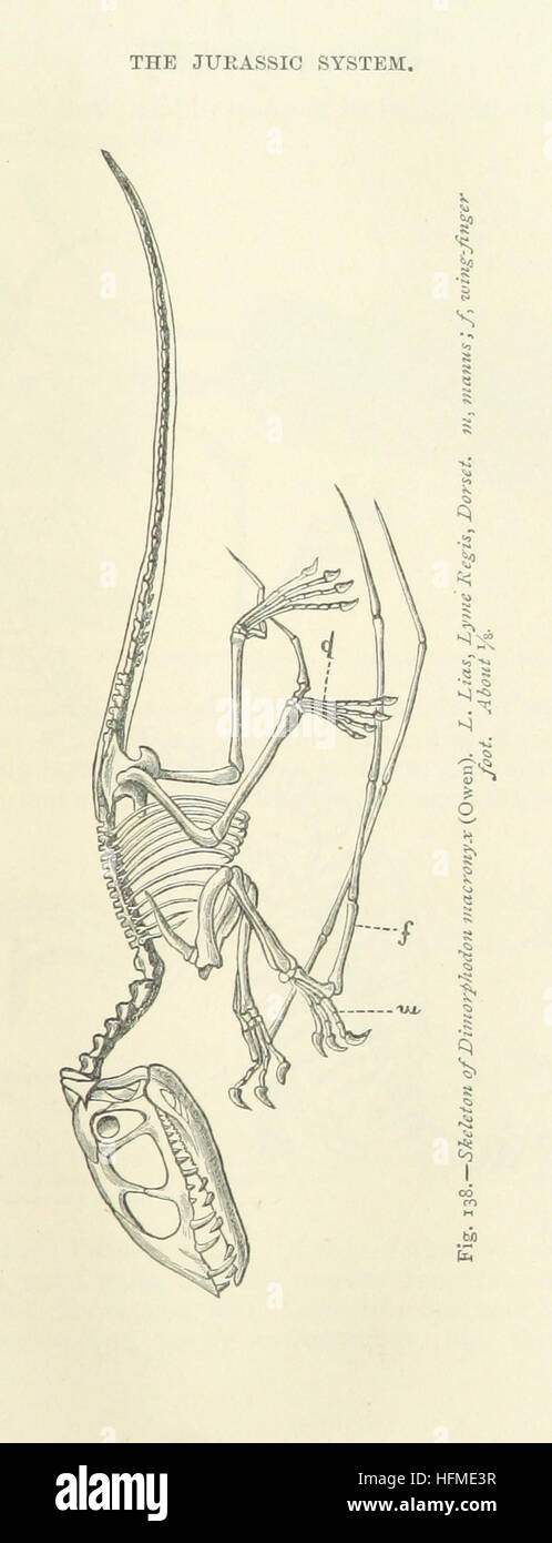 An Intermediate Text-Book of Geology by C. Lapworth offers a detailed ...