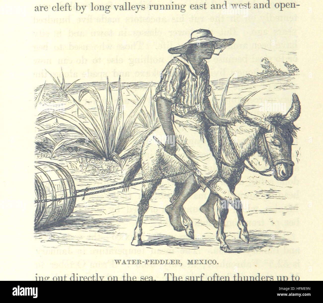 'About Mexico past and present' explores Mexico’s history, culture, and ...