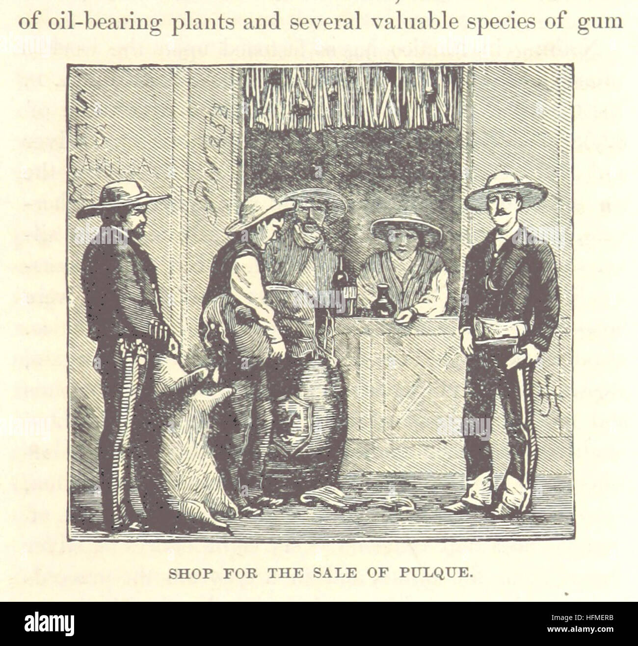 Illustrated examination of Mexico’s historical and modern aspects ...