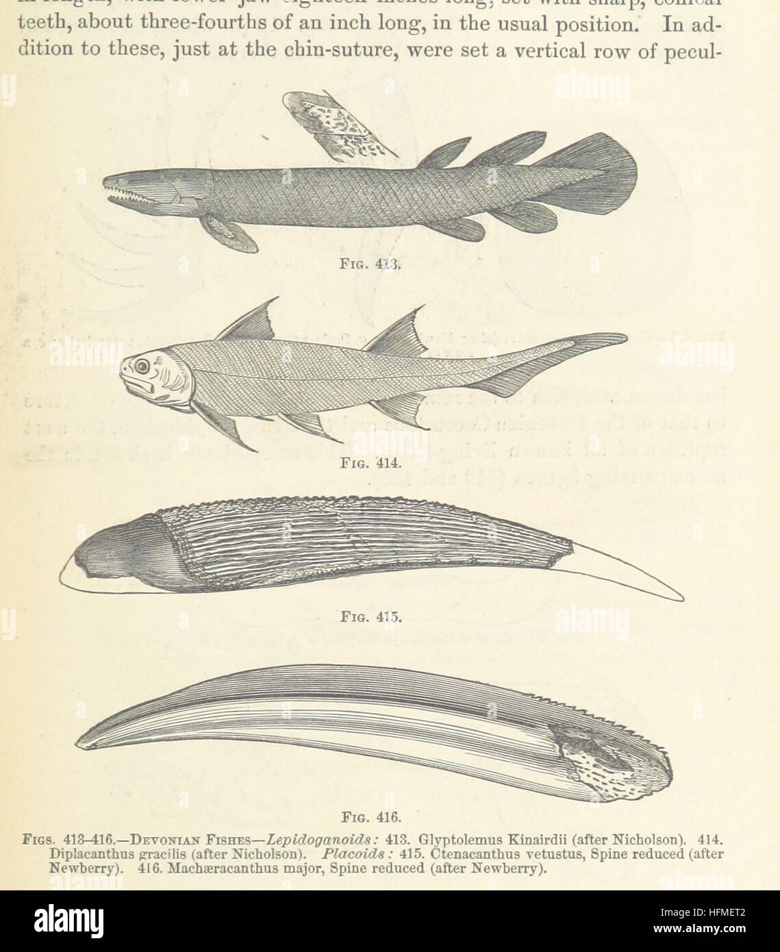 An image from 'Elements of Geology', illustrating geological features ...