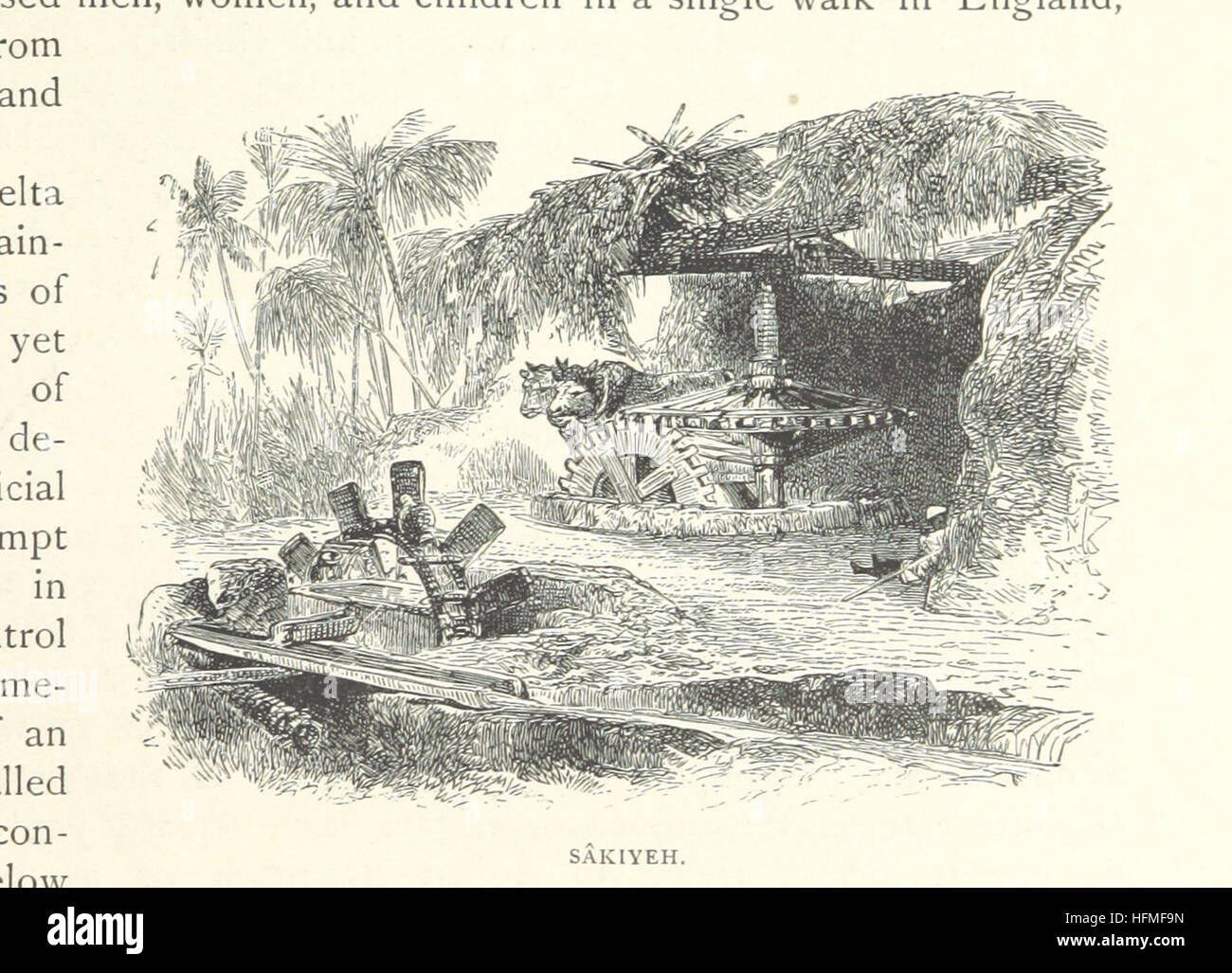 An exploration of Egypt's ancient history and archaeological ...