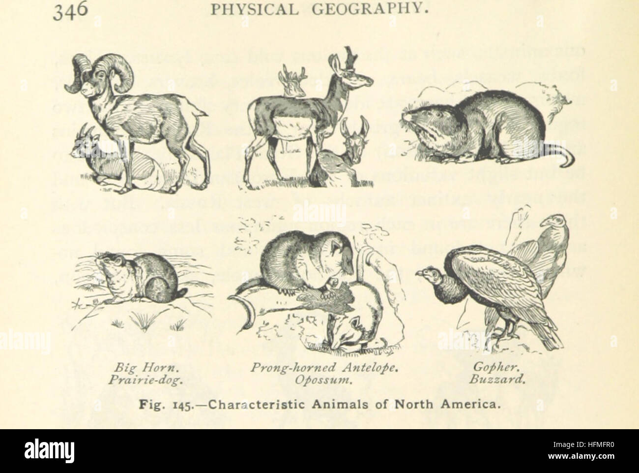 A study of physical geography, covering various natural landscapes ...