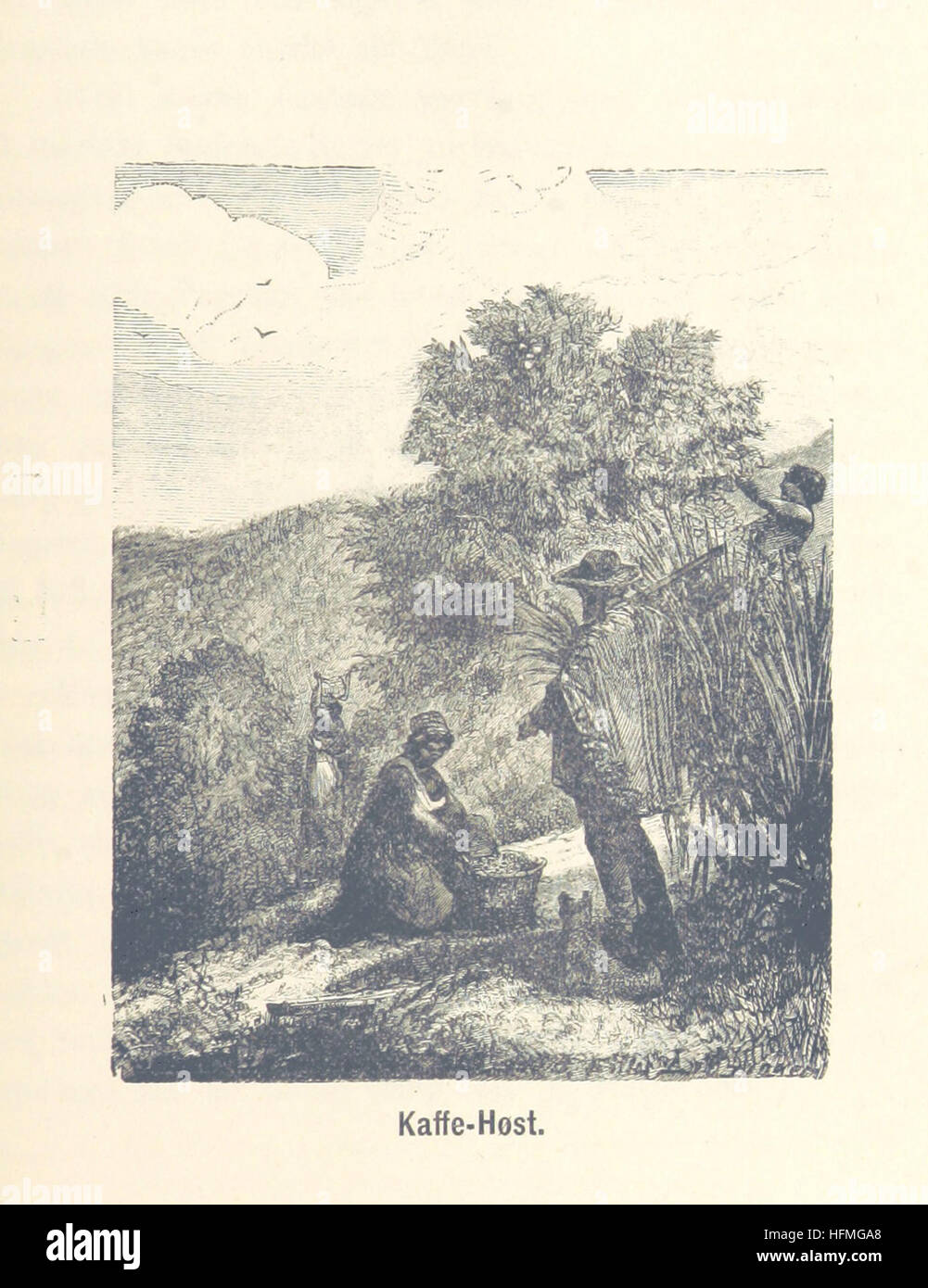 Image from page 355 of 'Krigen paa det stille Oceans Kyst', a ...