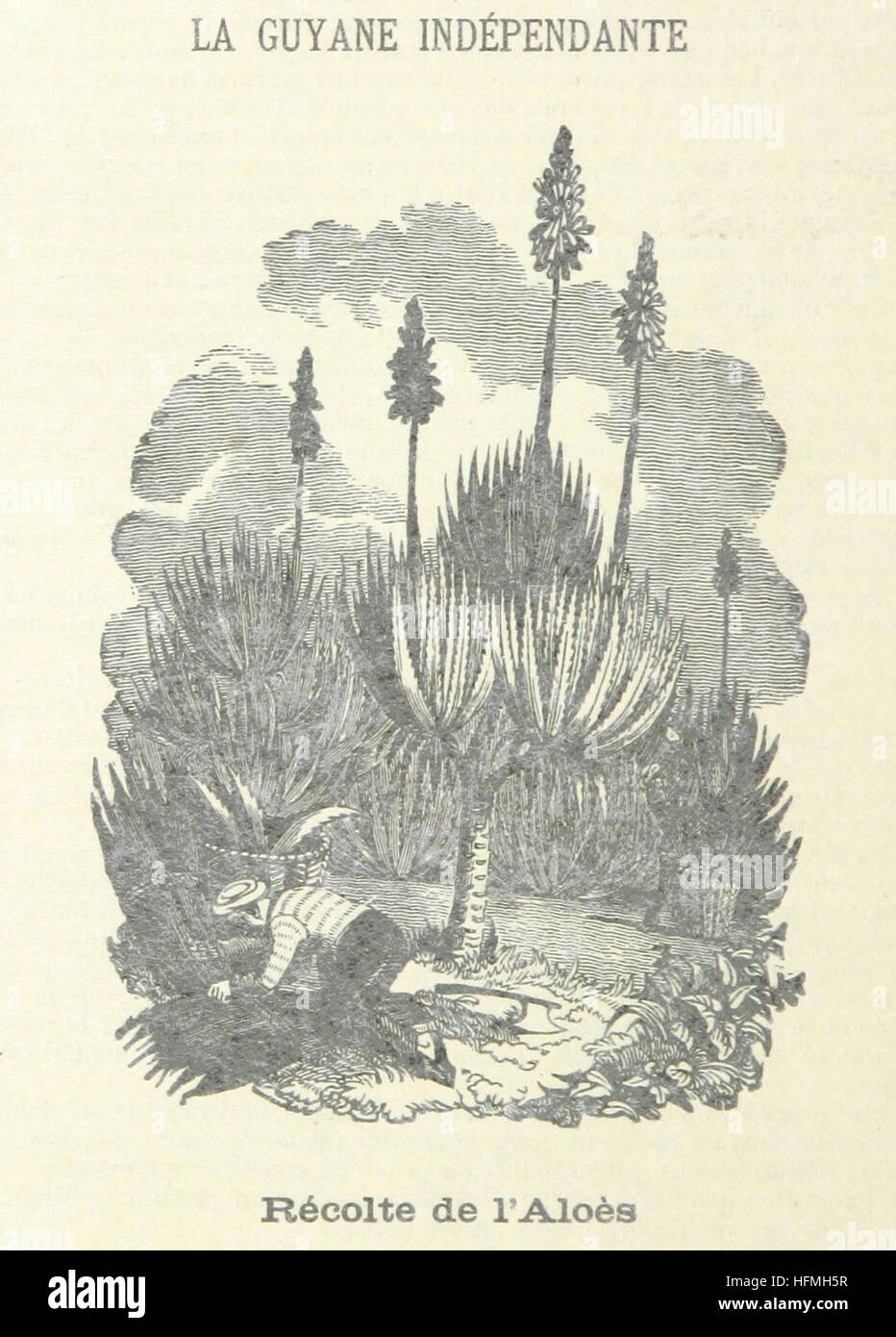 A colonial study of independent French Guiana, exploring its history ...