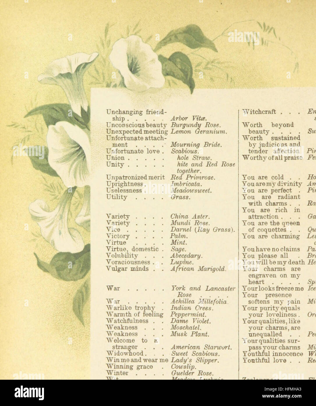 Artistic language flowers illustrations image hi-res stock photography ...