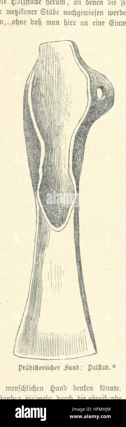 This work, titled 'Der Mensch sein Ursprung, seine Rassen und sein Alter,' explores the origins ...