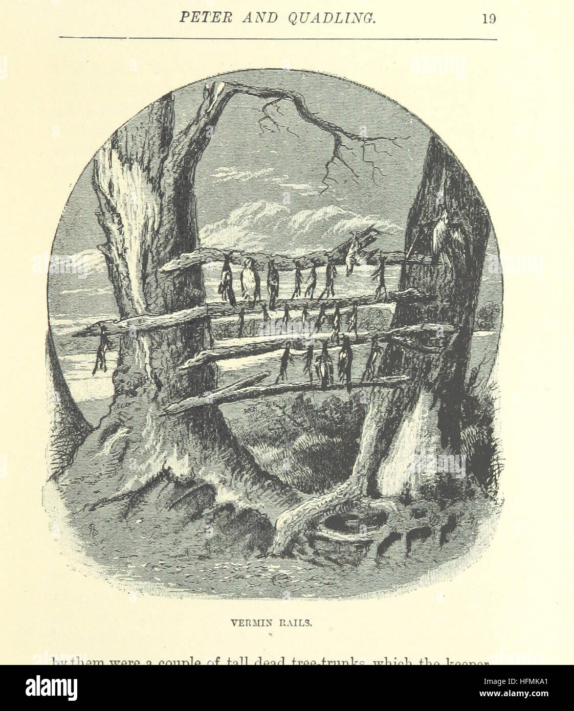 This image from 'Peter Penniless: Gamekeeper and Gentleman' presents a ...