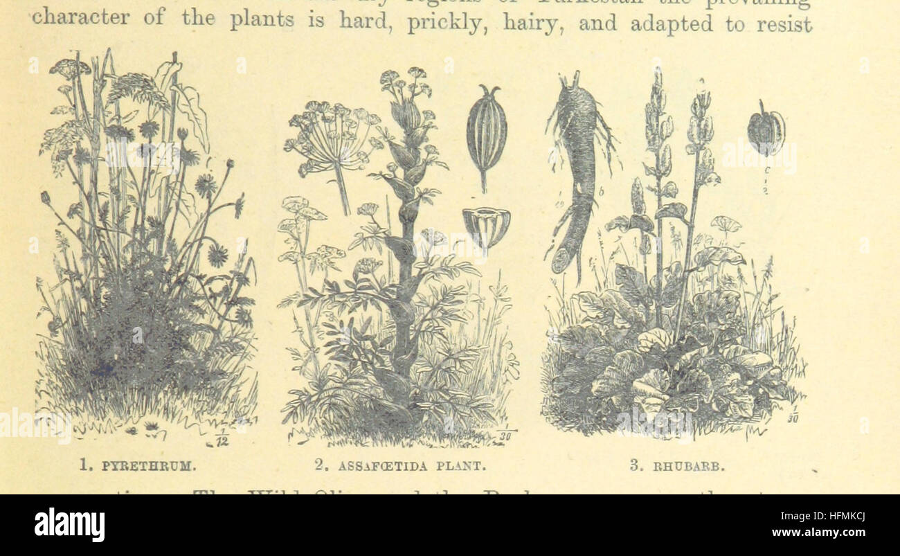 A comprehensive exploration of the diversity of life on Earth, covering ...