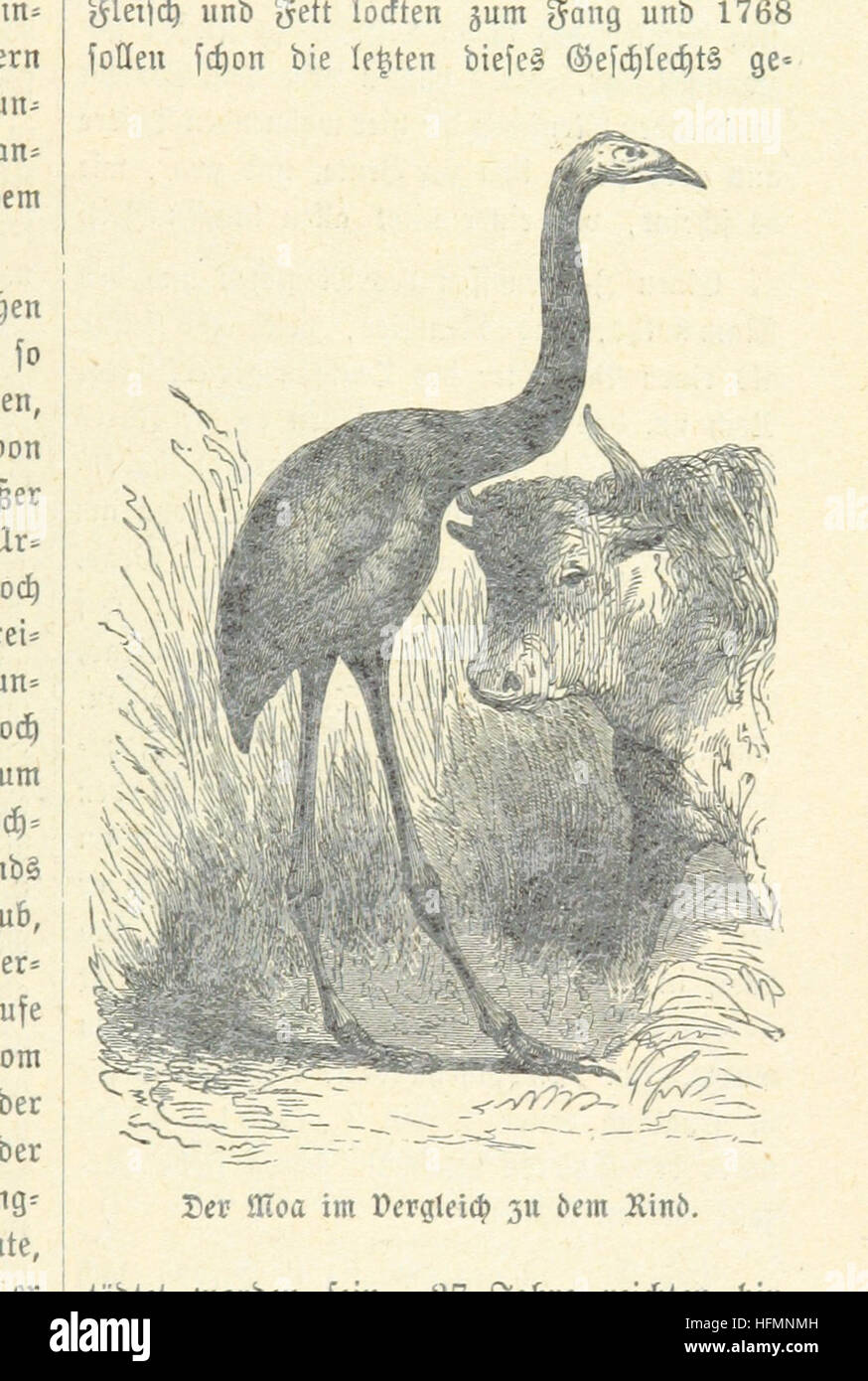 *Der Mensch, sein Ursprung, seine Rassen und sein Alter* delves into the origins, races, and age ...