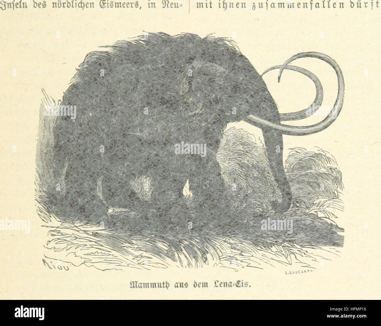 Page 383 from 'Der Mensch, sein Ursprung, seine Rassen und sein Alter' depicts a prehistoric ...