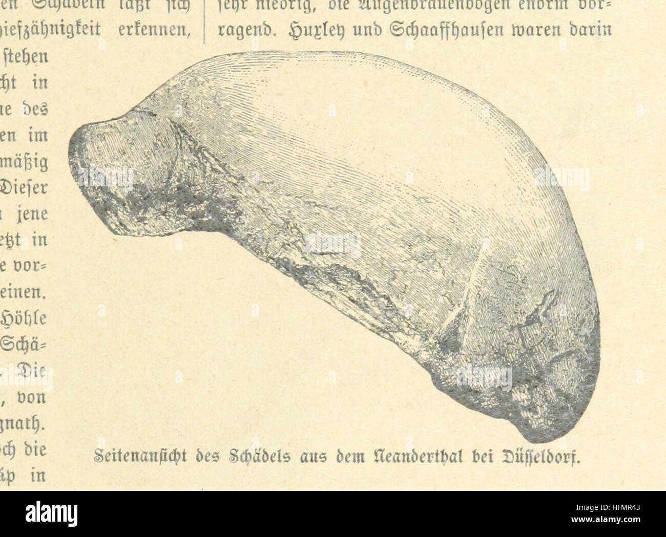 This image is from 'Der Mensch, sein Ursprung, seine Rassen und sein Alter,' a work discussing ...