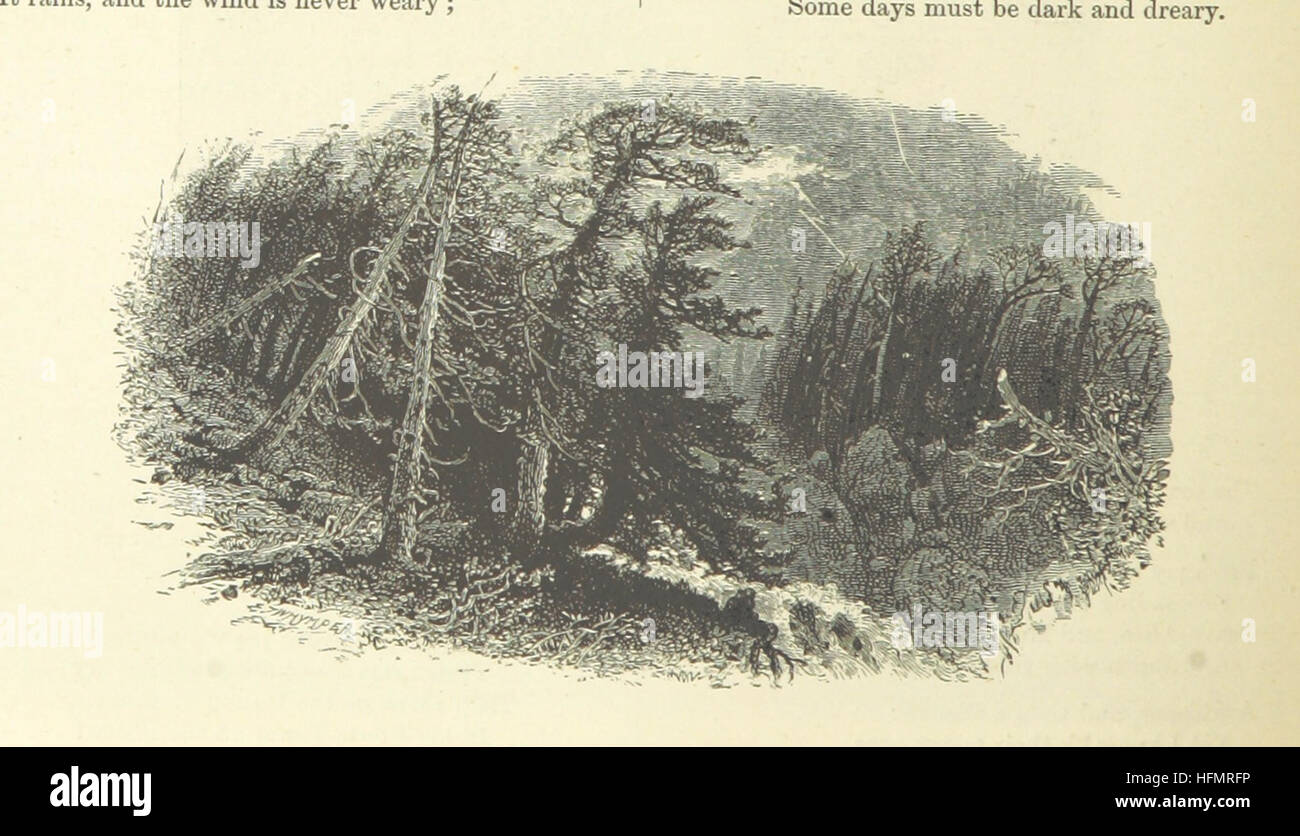 An image from 'Gleanings from popular authors,' a collection of ...