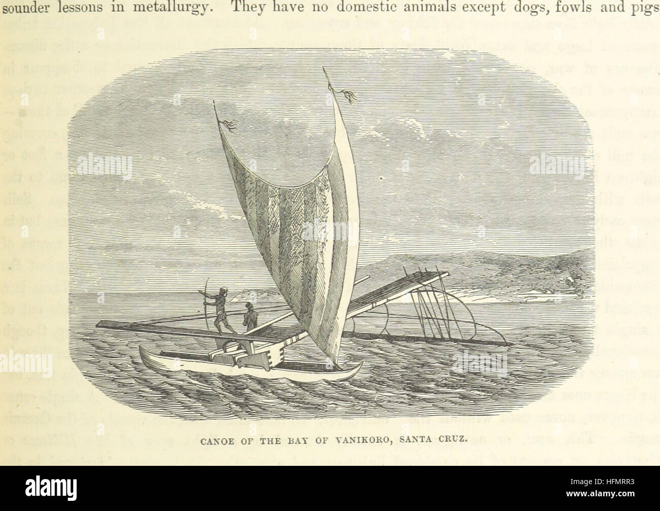 This illustrated book offers a broad description of the human family ...