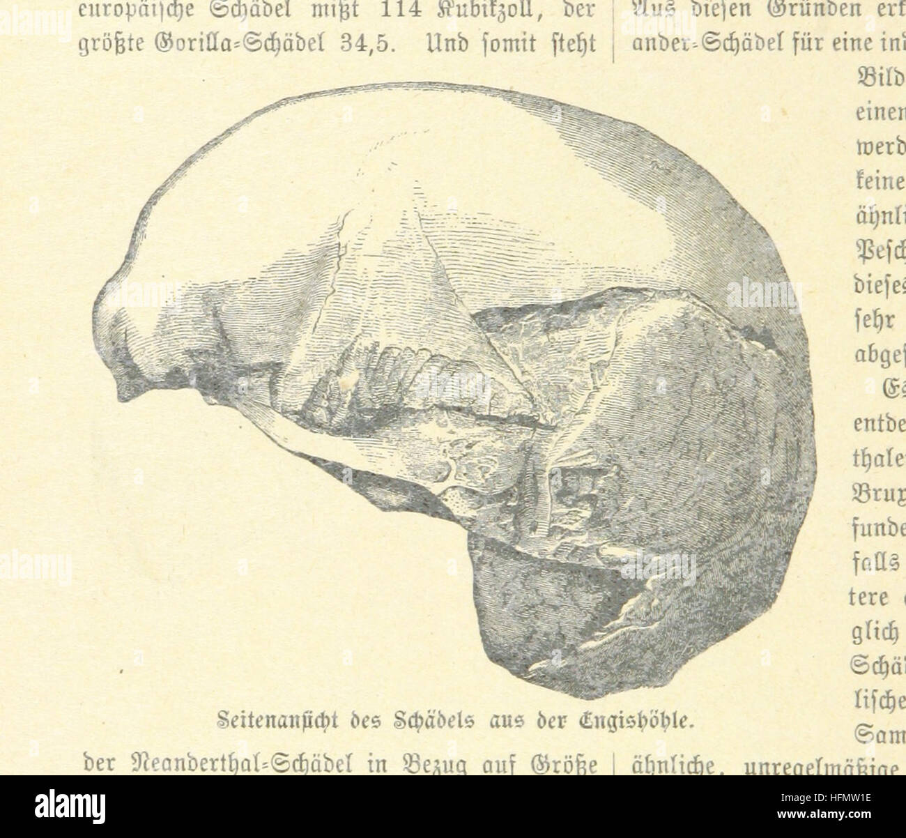 This work explores the origins, races, and age of humanity, providing ...