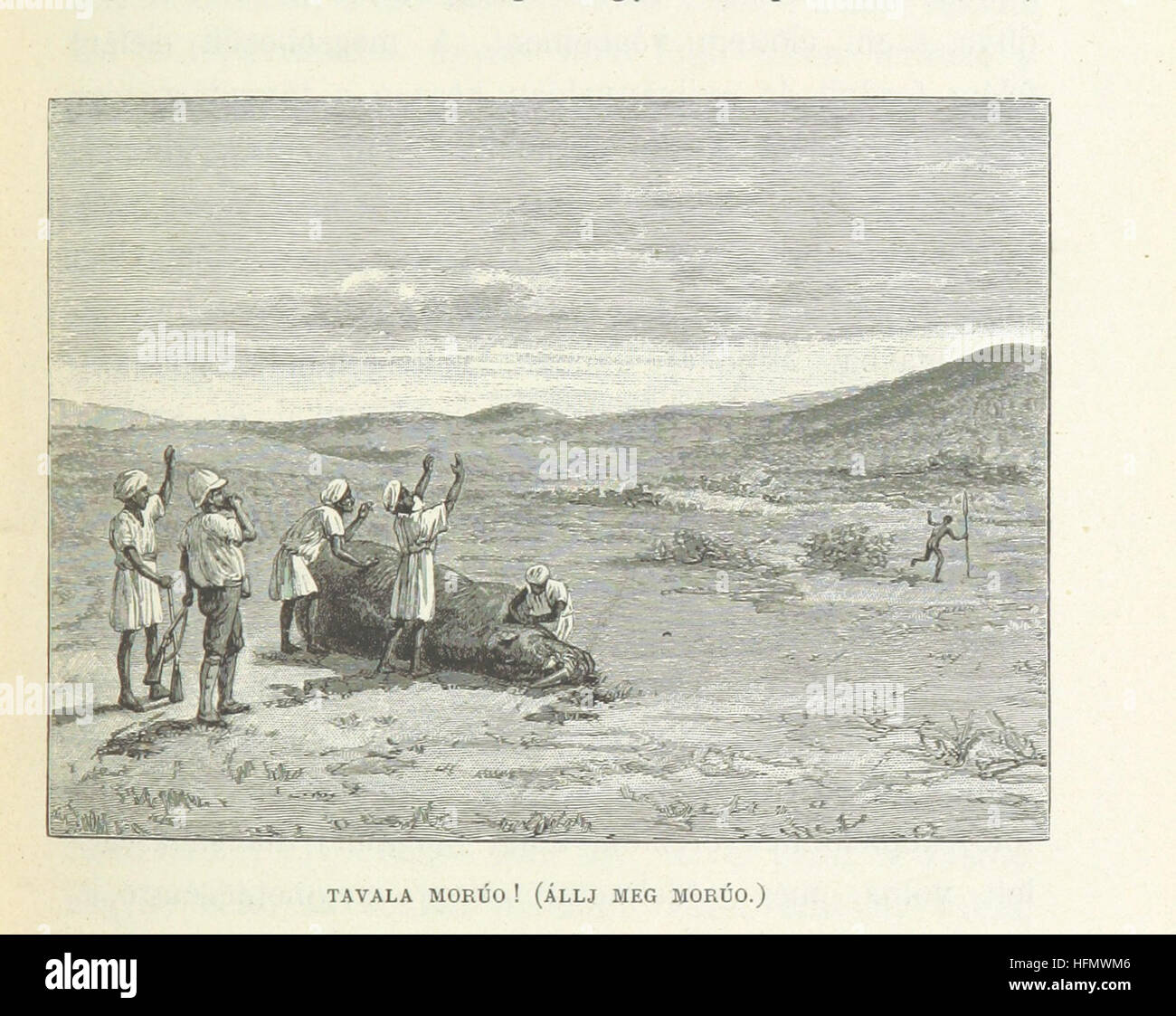 A Hungarian edition detailing the travels of Samuel Teleki in East ...