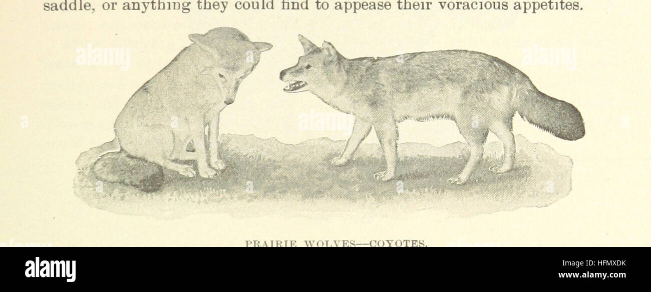 Narrative of twenty years of interactions with hostile Native American ...