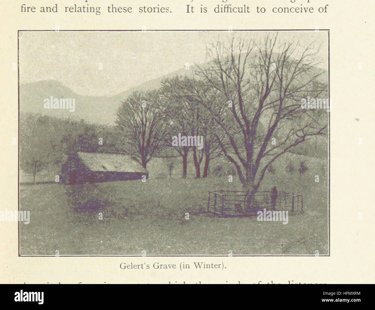 'Bedd Gelert' explores the myths, facts, and folklore surrounding the ...