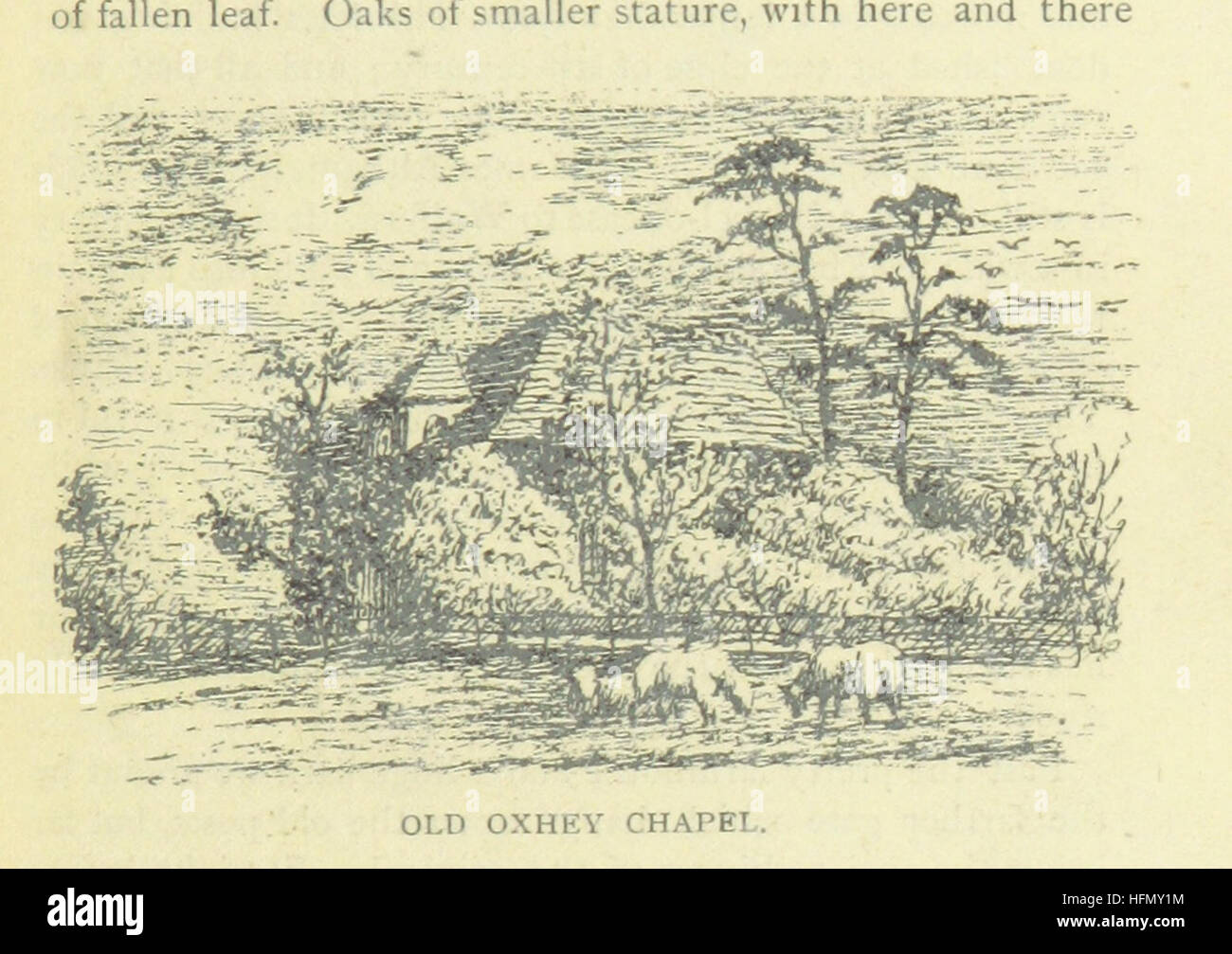 A travel book about rural areas along the Herts border, detailing the ...