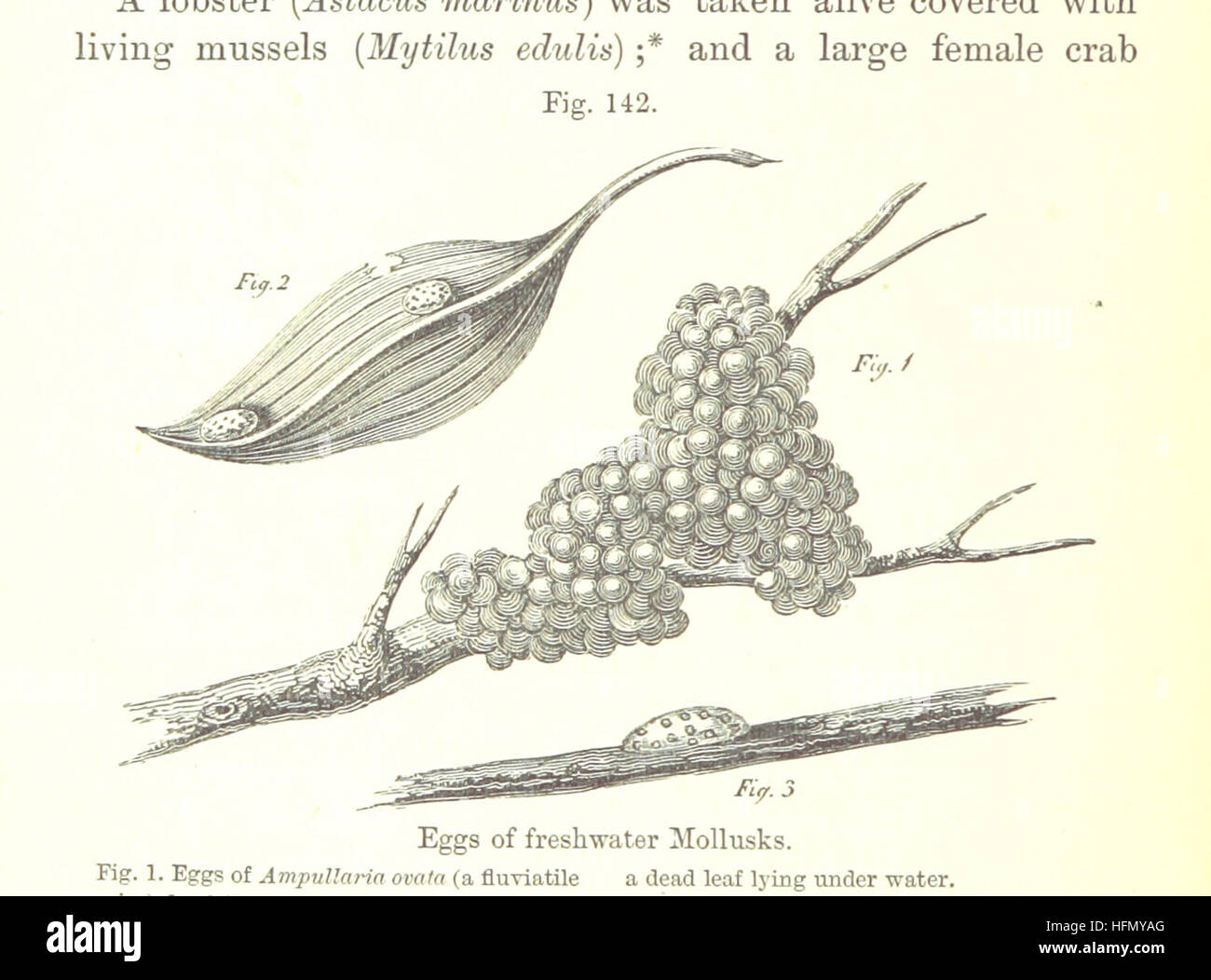 This edition of 'Principles of Geology' presents foundational ...