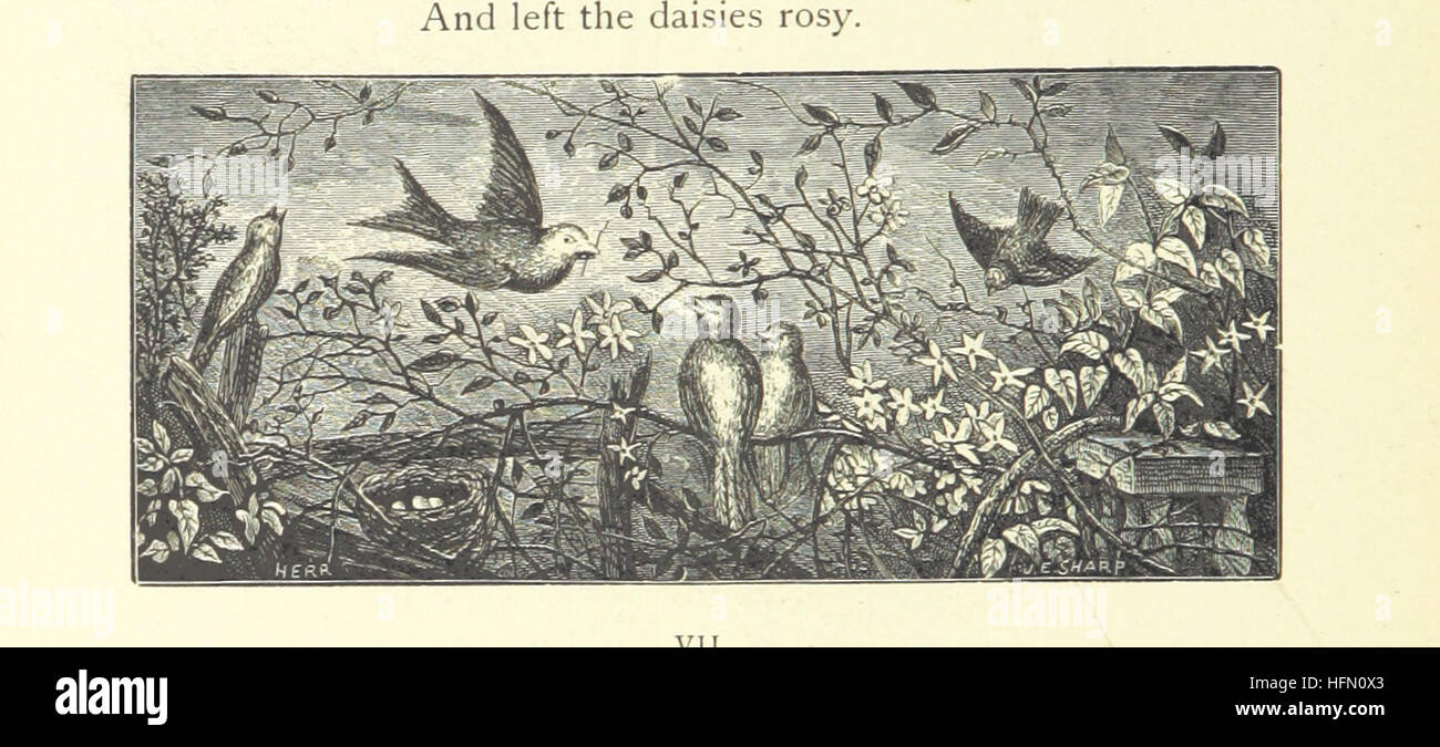 Illustration from page 42 of the poem 'Maud' by Alfred, Lord Tennyson ...