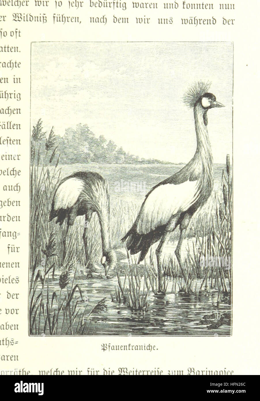 This book details Count S. Teleki’s expedition to East Equatorial ...