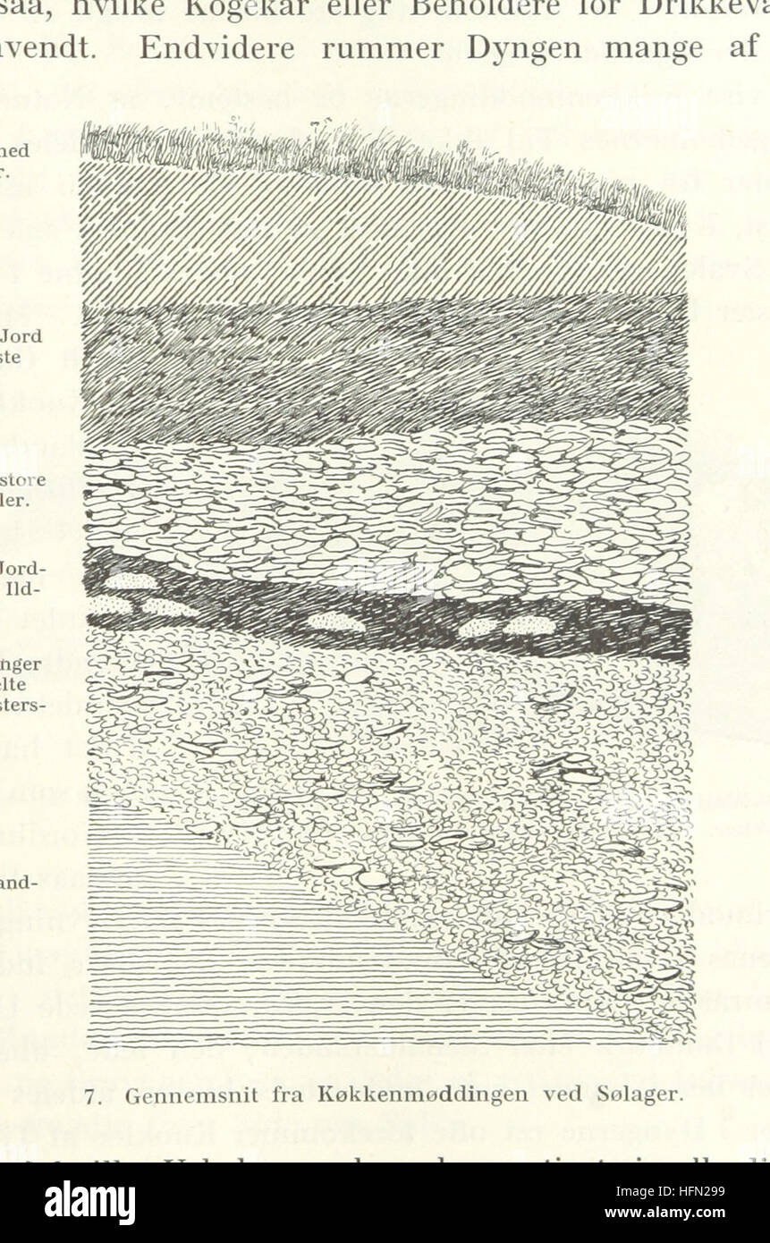 This illustrated historical work details the history of Denmark ...