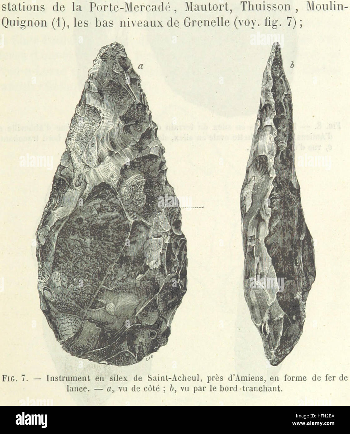 An anthropological study examining fossilized humans and indigenous ...