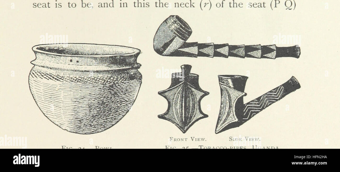 A detailed exploration of the Victoria Nyanza region, focusing on its ...