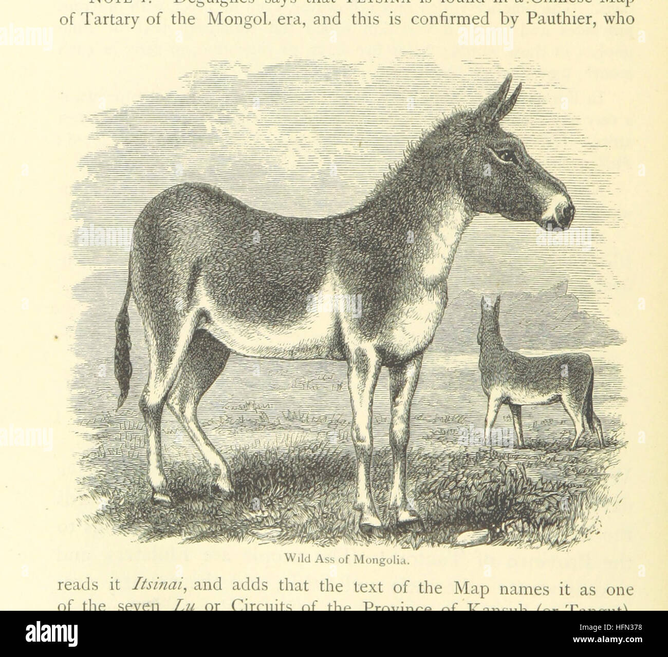 This text, 'The Book of Ser Marco Polo,' recounts the travels and ...