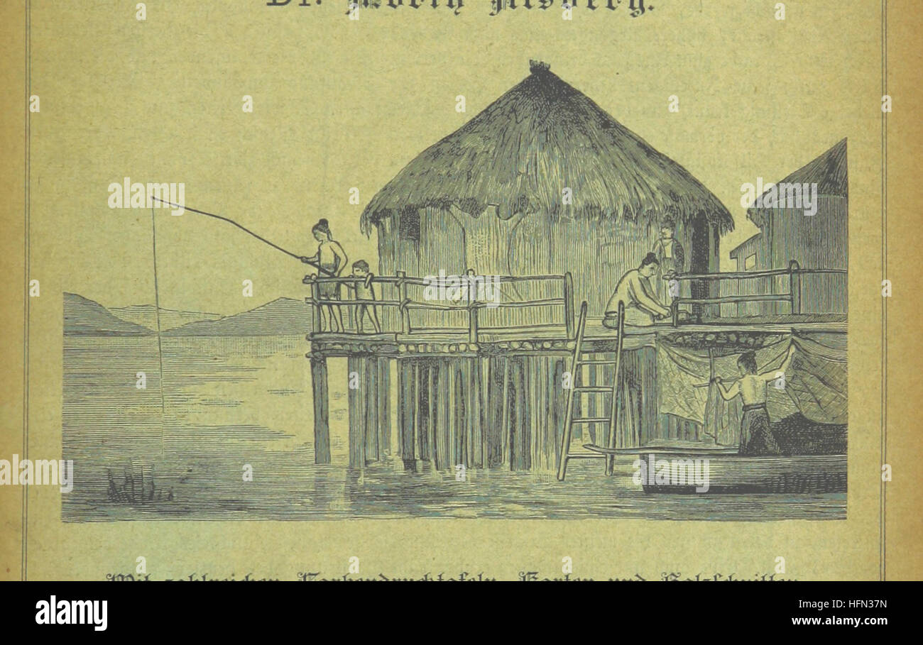 An anthropological work covering the general history of human evolution ...