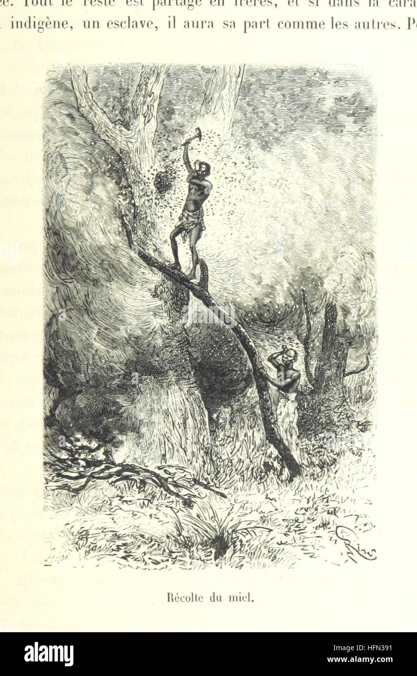 A detailed exploration of the Equatorial African lakes, undertaken ...
