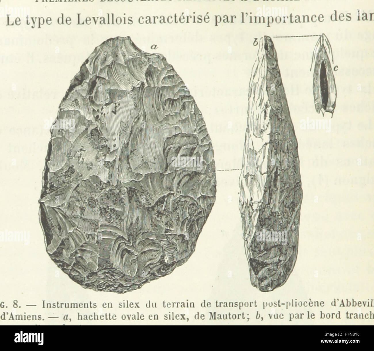 A study on fossil men and wild men from an anthropological perspective ...
