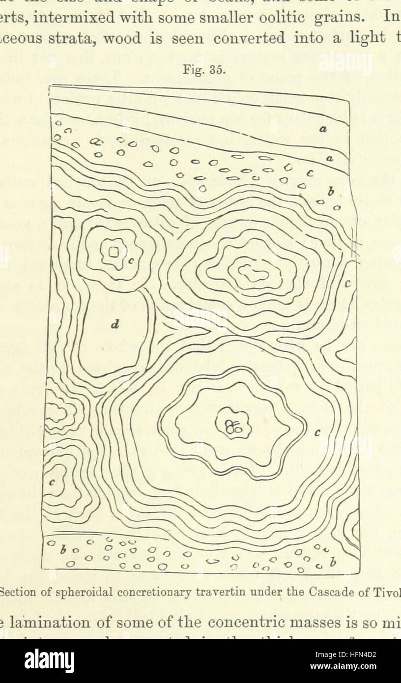 A scientific work on the principles of geology, discussing Earth's ...