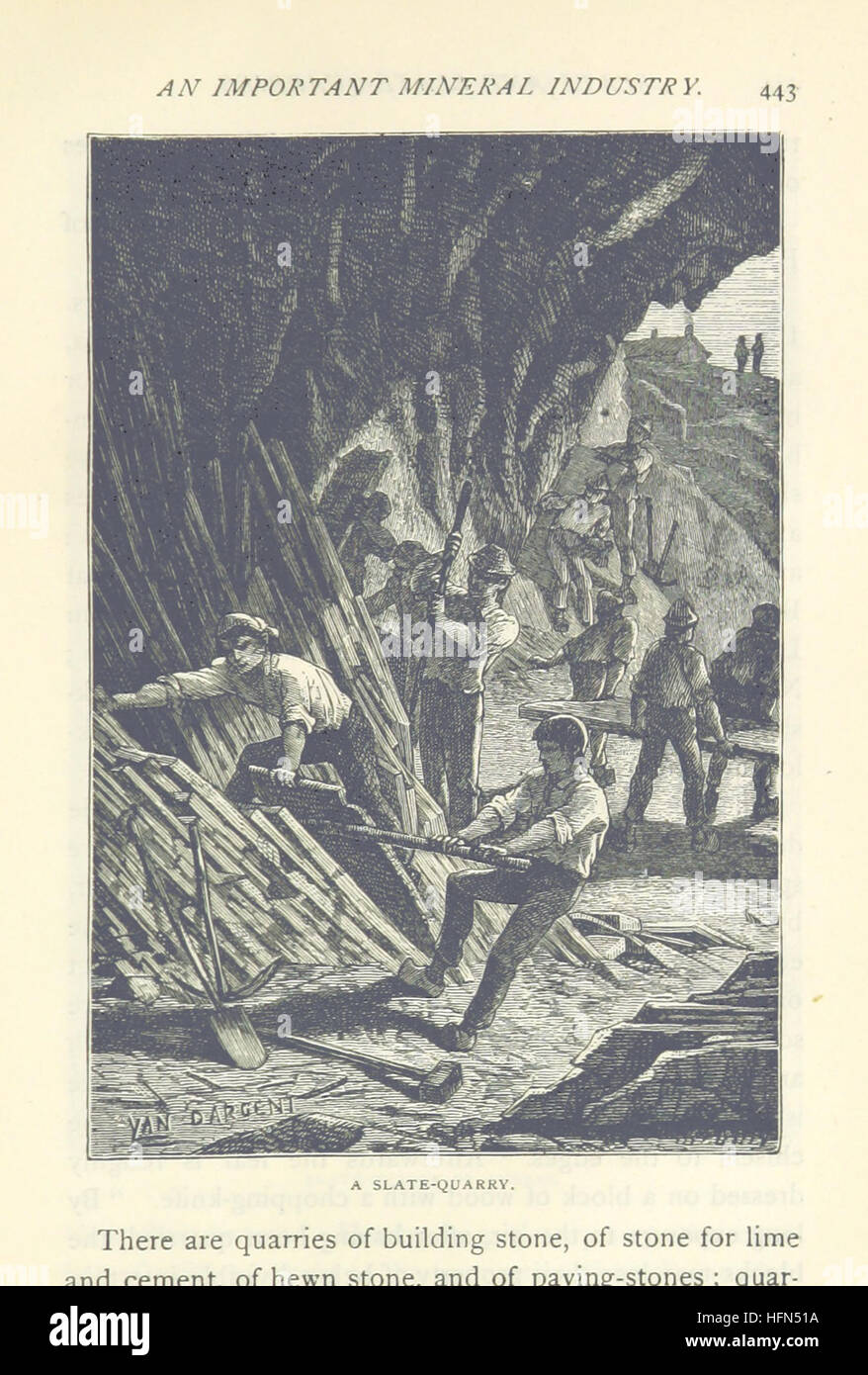 A fascinating exploration of the subterranean world, detailing the ...