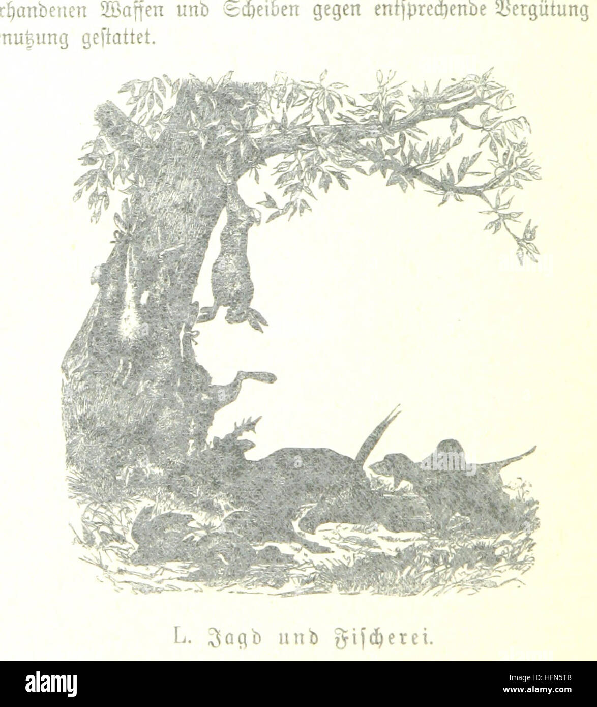 A history of the city of Baden, documenting its development from ...