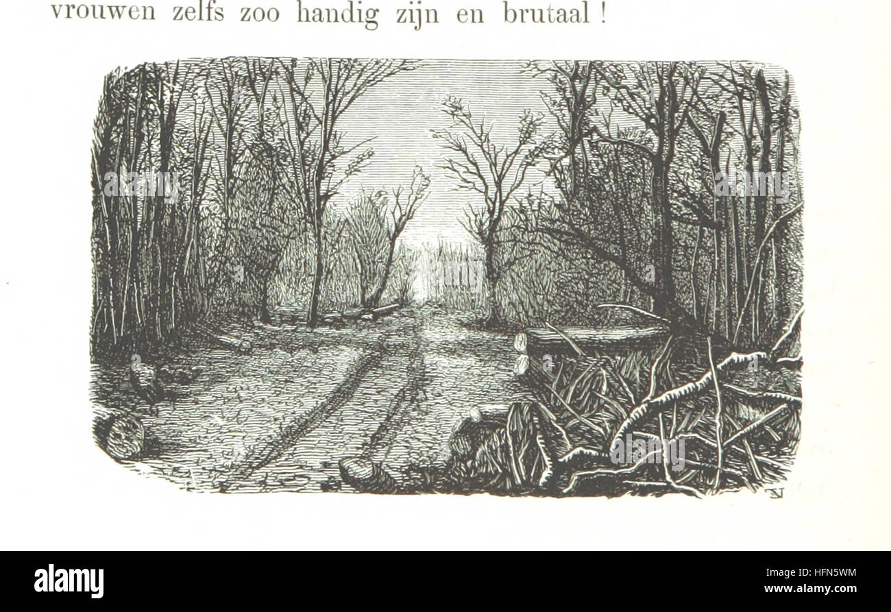 This Dutch work narrates a six-month journey through America, with ...