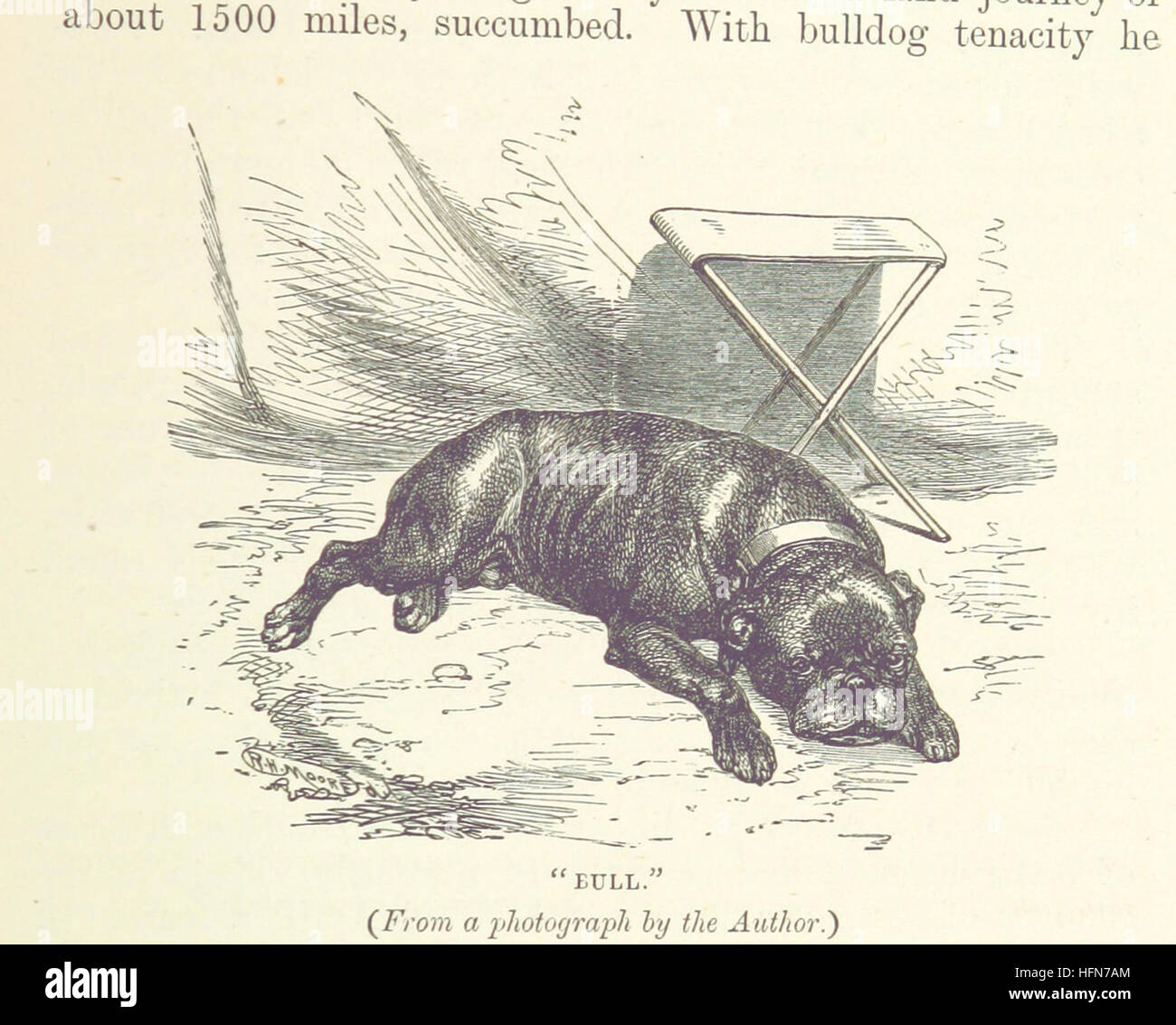 This image from 'Through the Dark Continent' by Henry Morton Stanley ...