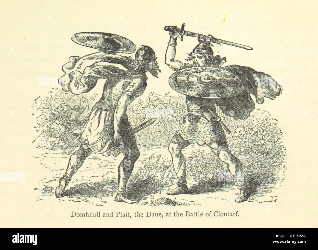 An image from page 47 of 'A History of the Irish Nation,' an ...