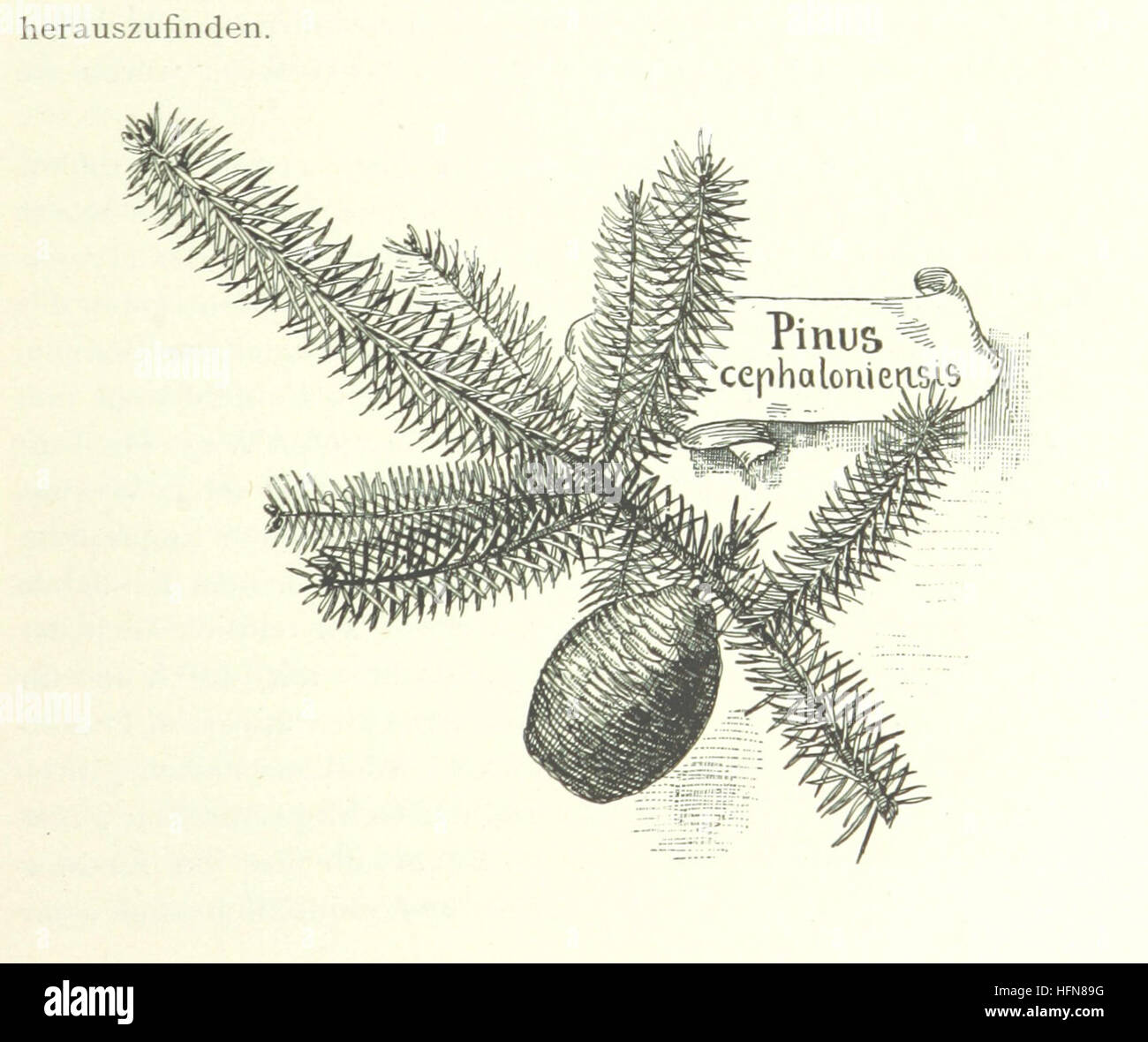 This image is from 'Ithaka,' a work featuring five watercolor prints ...