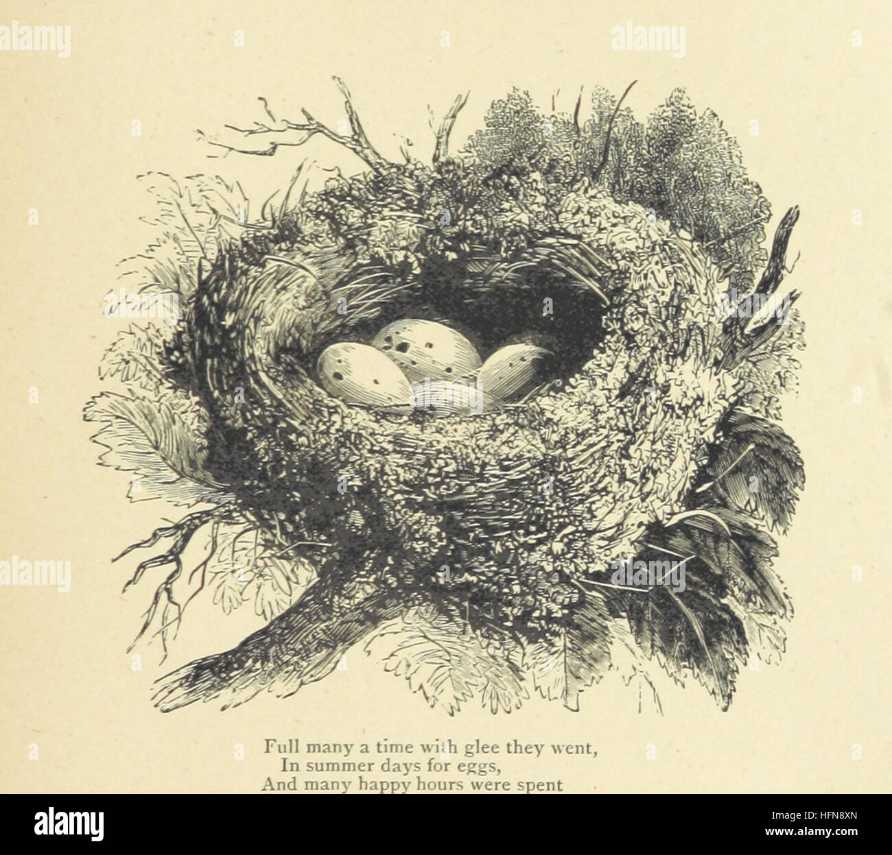 This collection of poems explores themes of fate and existence ...