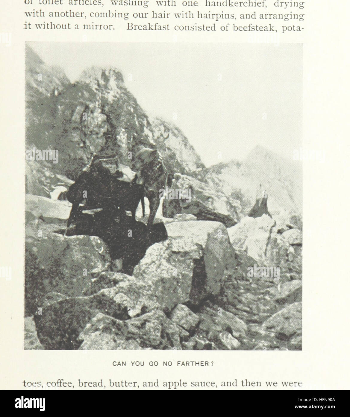 This book narrates the journey of two women to the Klondike Gold Rush ...