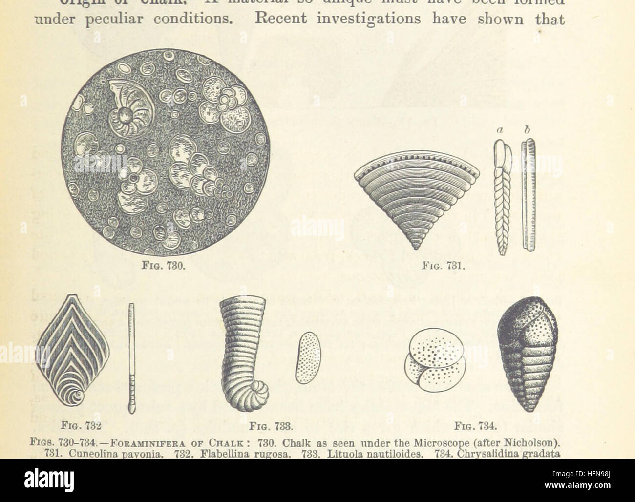 Detailed exploration earths geological hi-res stock photography and ...