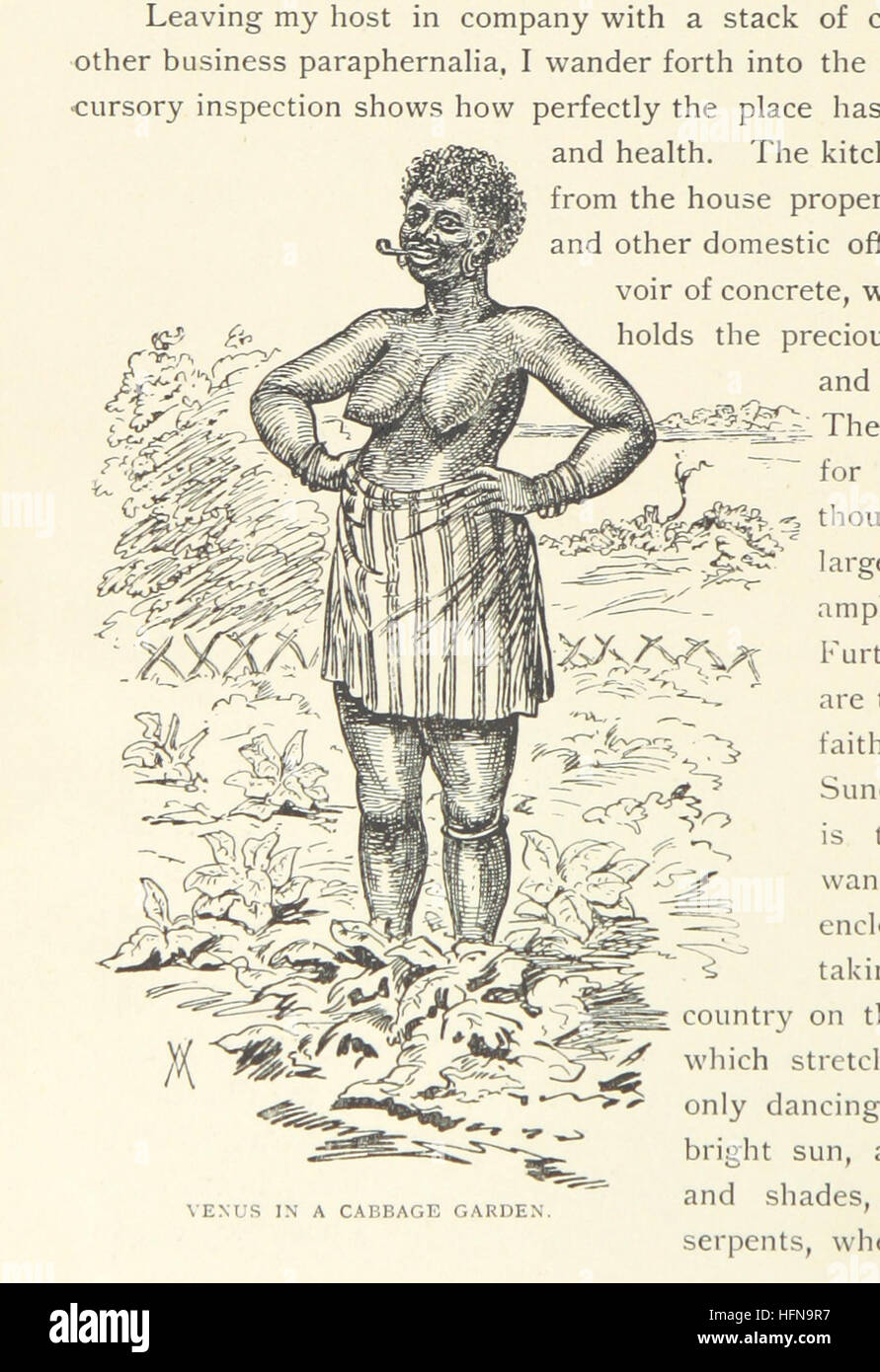 The book recounts the experiences of a prisoner in Chiloane, South-East ...