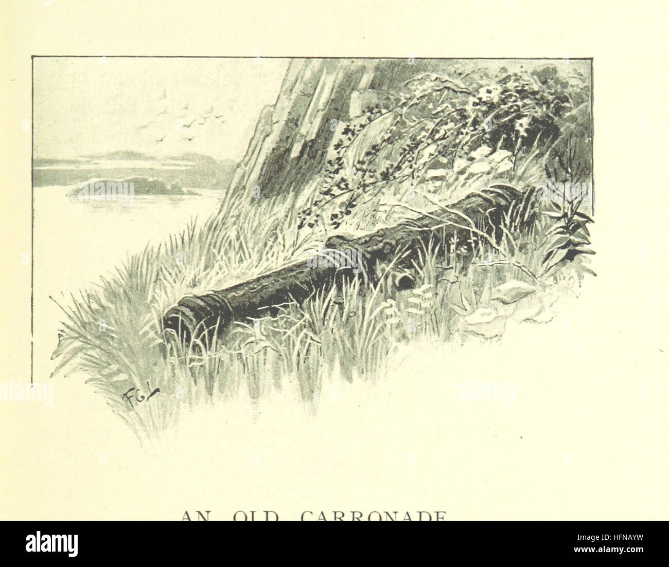 A descriptive work detailing the beauty and landscapes of England's ...