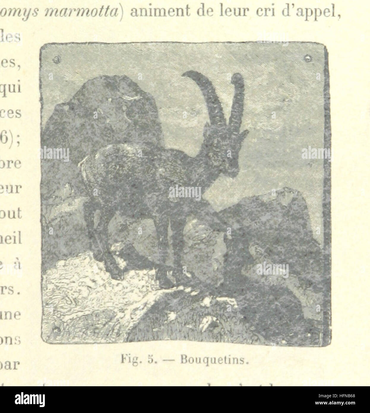 A detailed work on the Alps and major ascents, featuring contributions ...