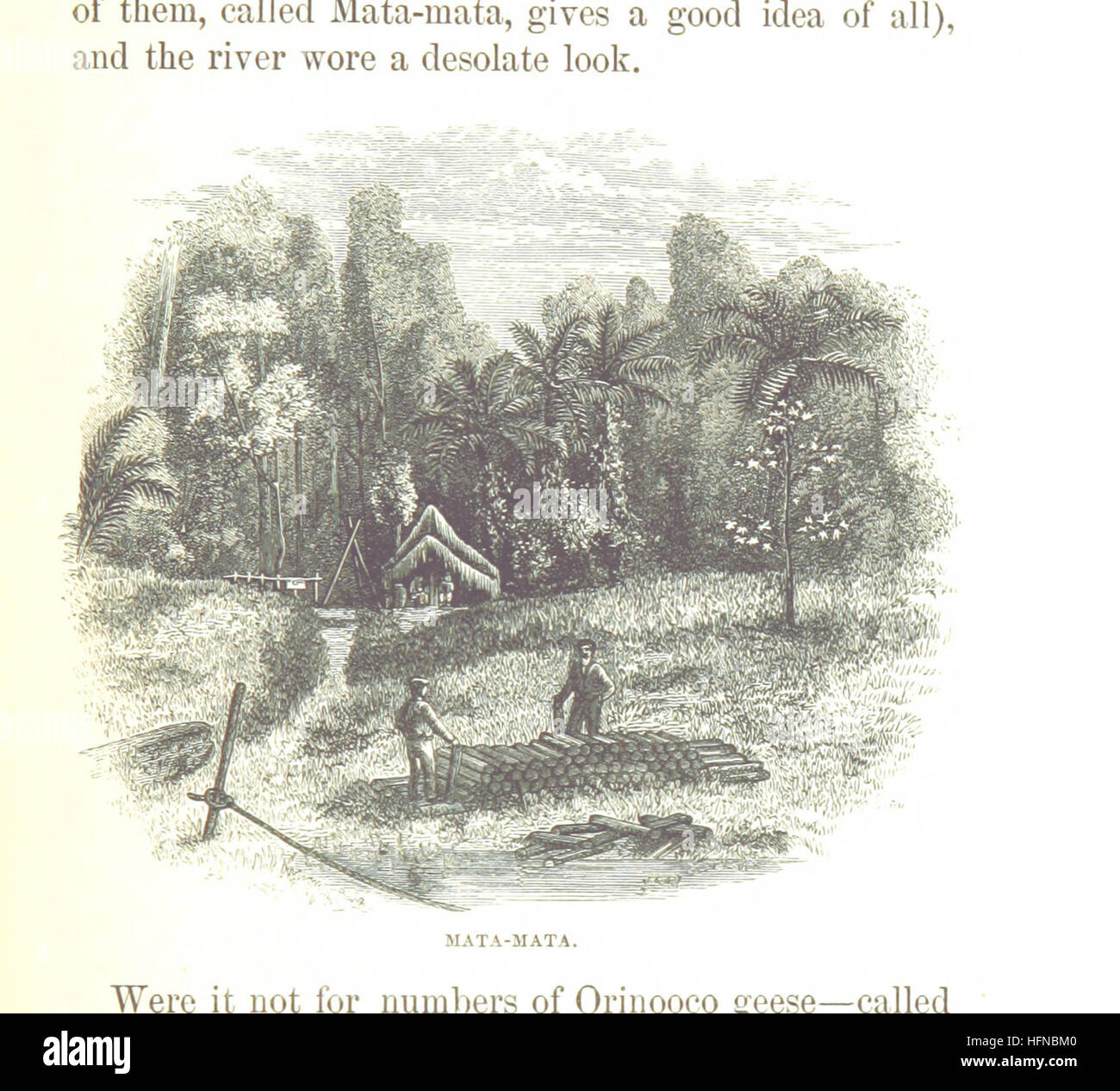 Image from page 495 of 'Fifteen Thousand Miles on the Amazon and its ...