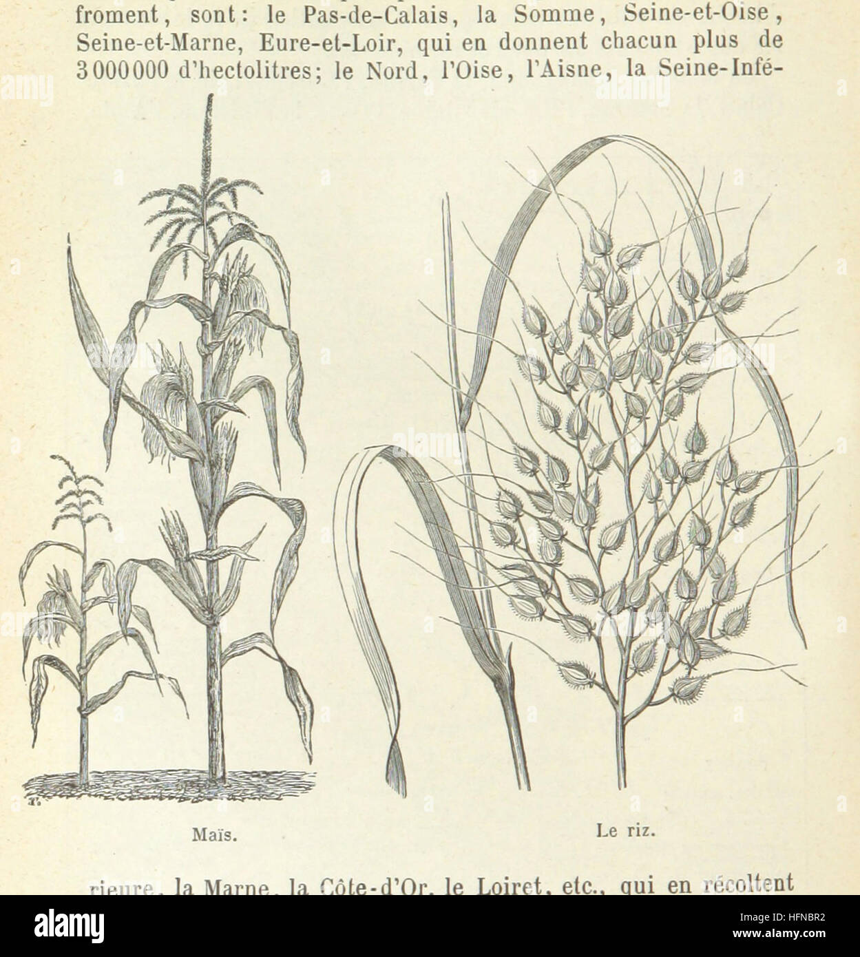 A geographical exploration of France, providing insights into the ...