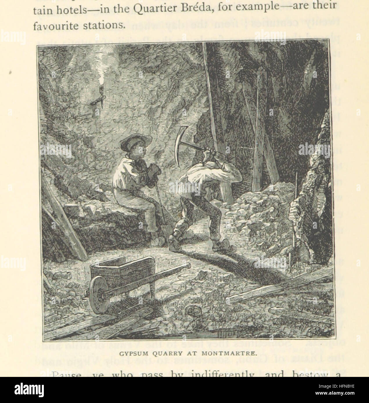 This page from 'Beneath the Surface' explores the wonders of the ...