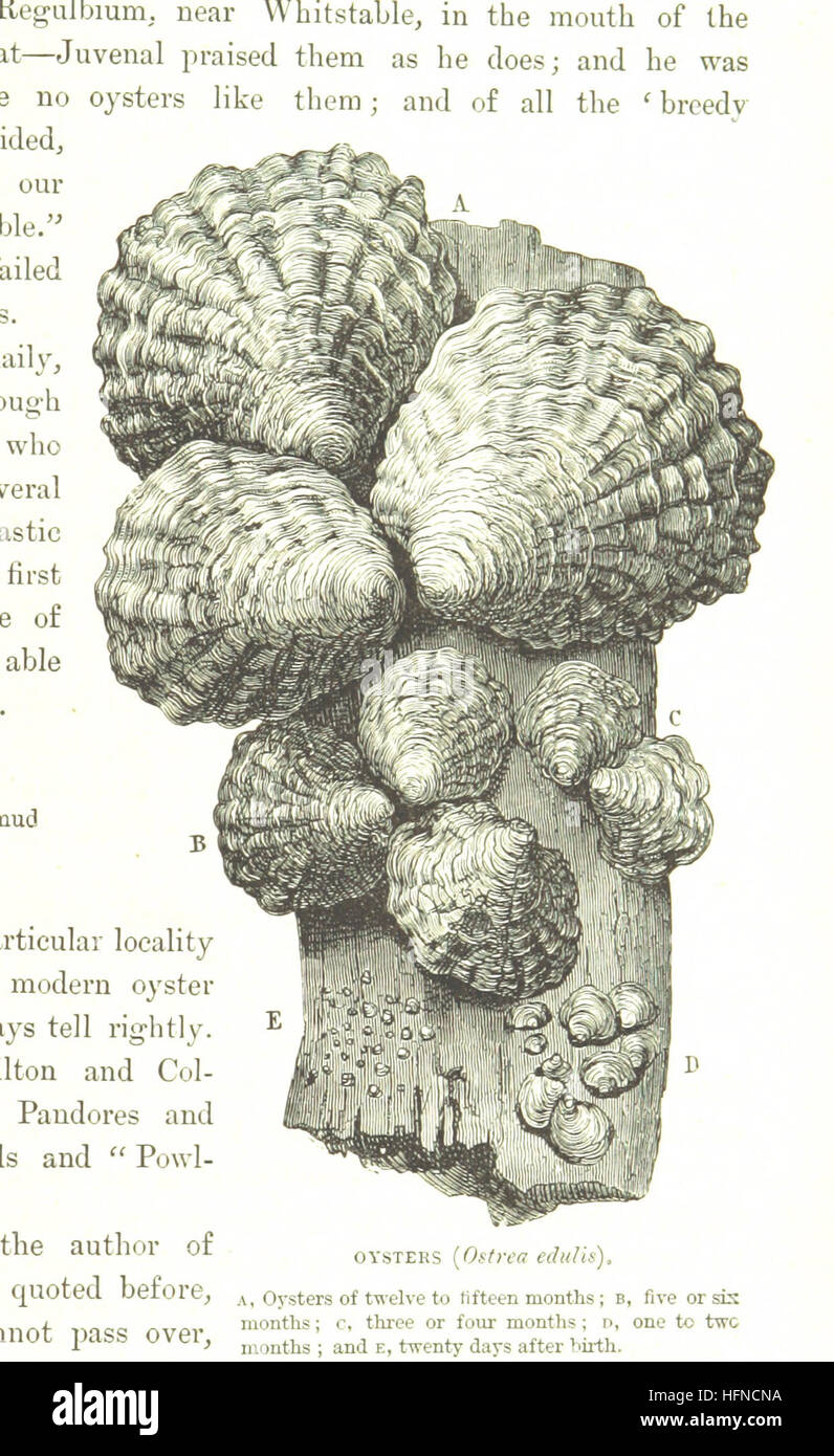 This image from 'The Sea' illustrates the dramatic adventures and ...